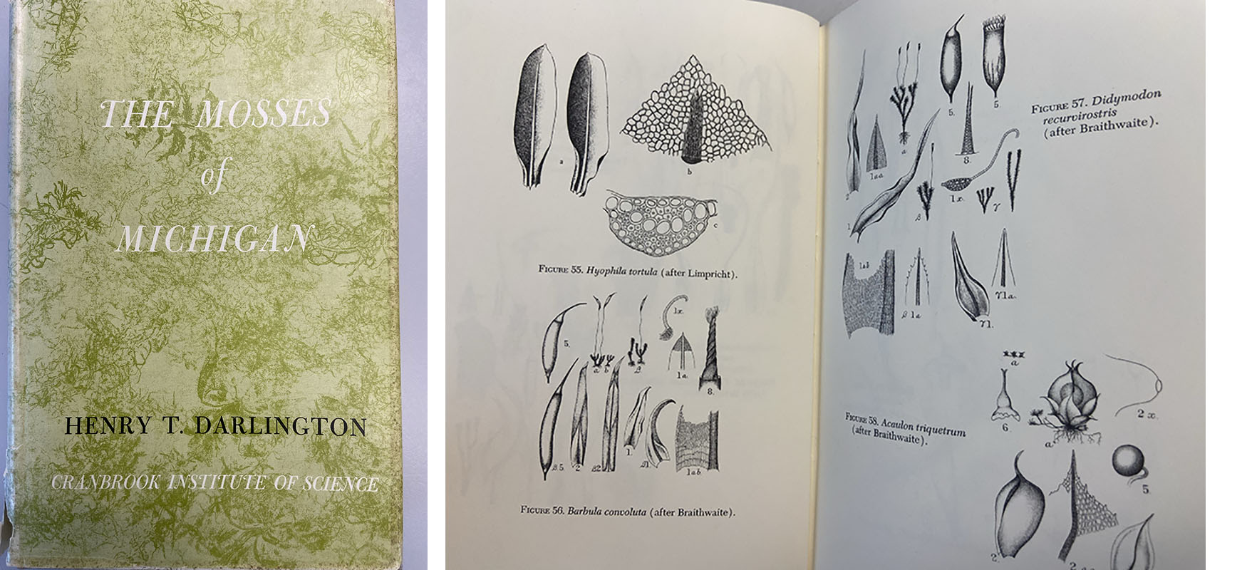 Bryology books for sale in support of research | Bernard Goffinet ...