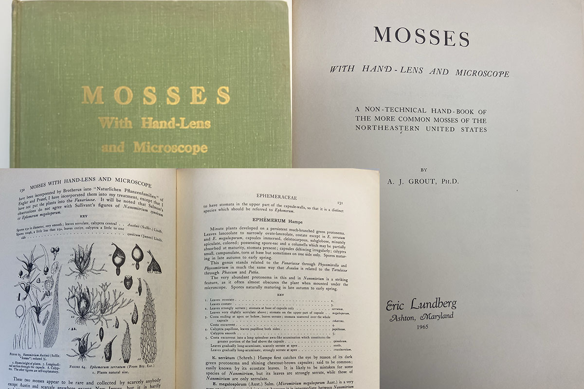 Bryology books for sale in support of research | Bernard Goffinet ...